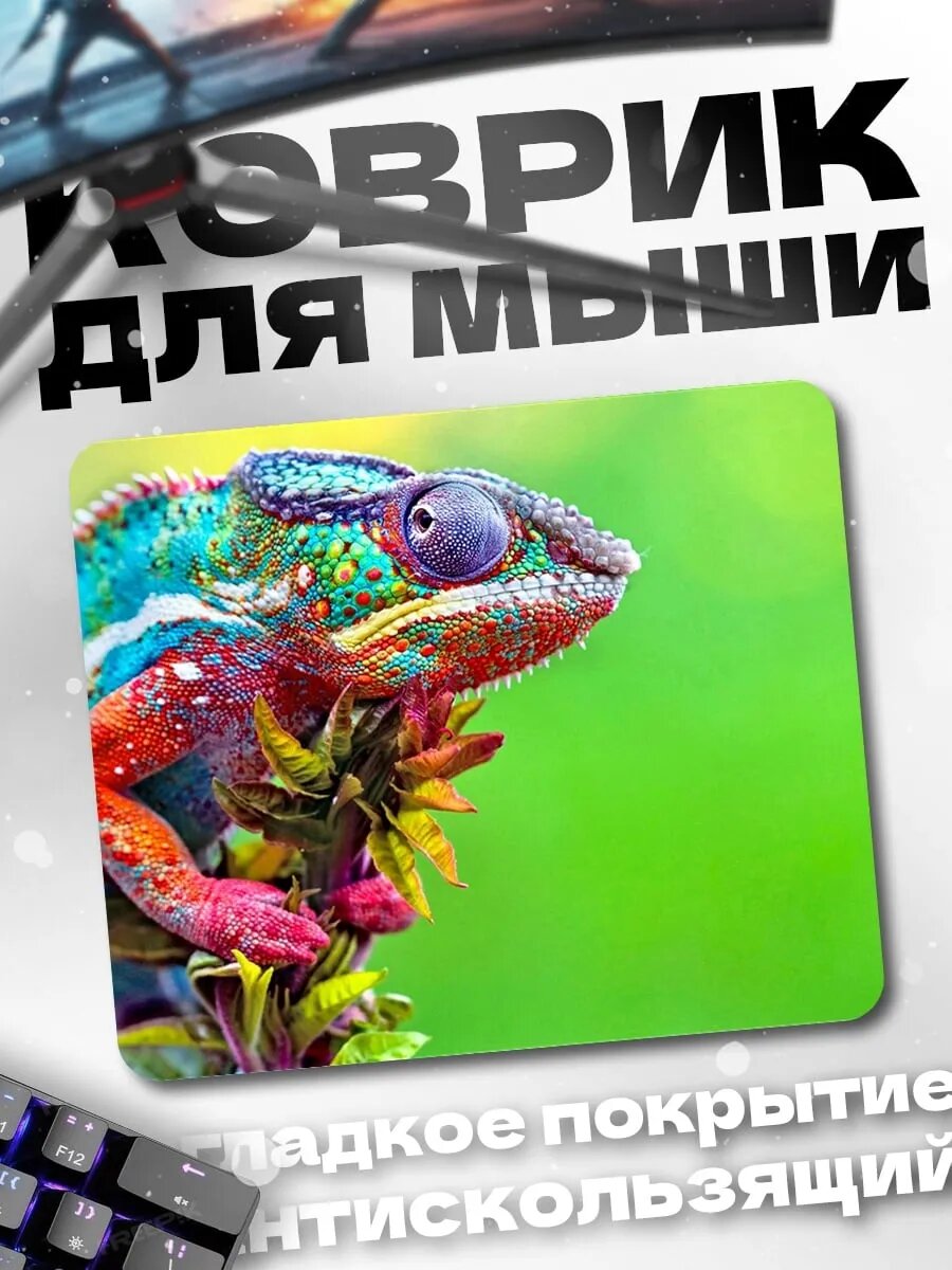 Коврик для мыши Радужный хамелеон