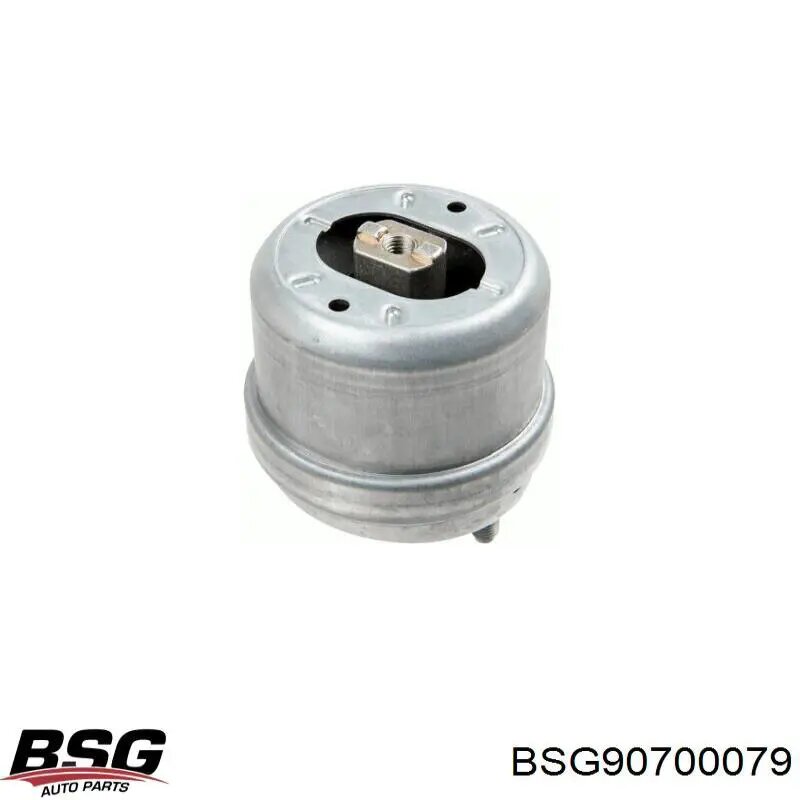Bsg60700266