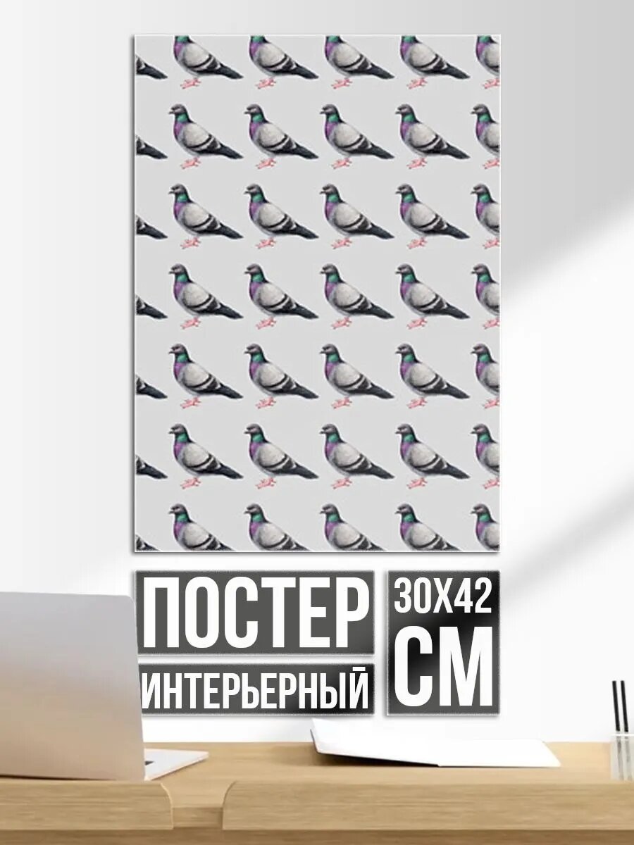 Постер на стену Голуби воркуют