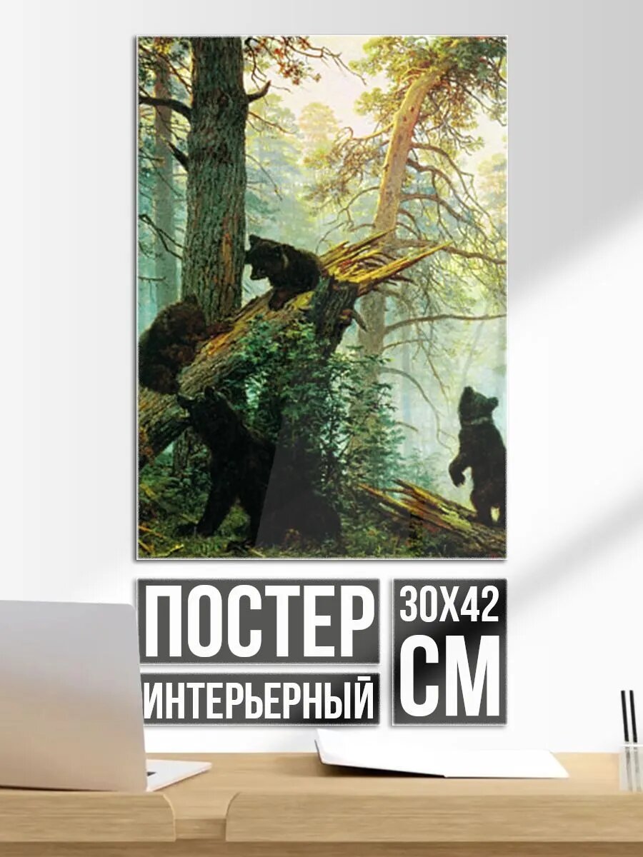 Постер на стену Утро в сосновом лесу