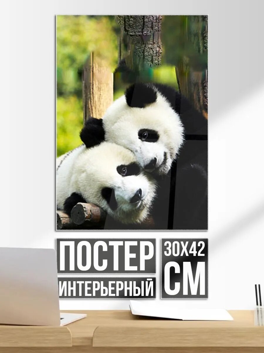 Постер на стену Влюблённые панды