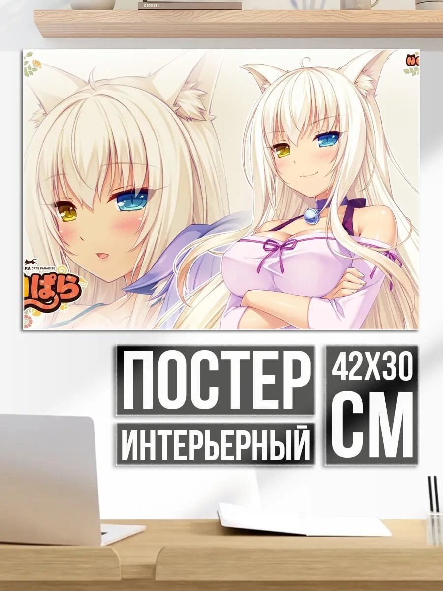 Плакат постер Аниме кошка девушка