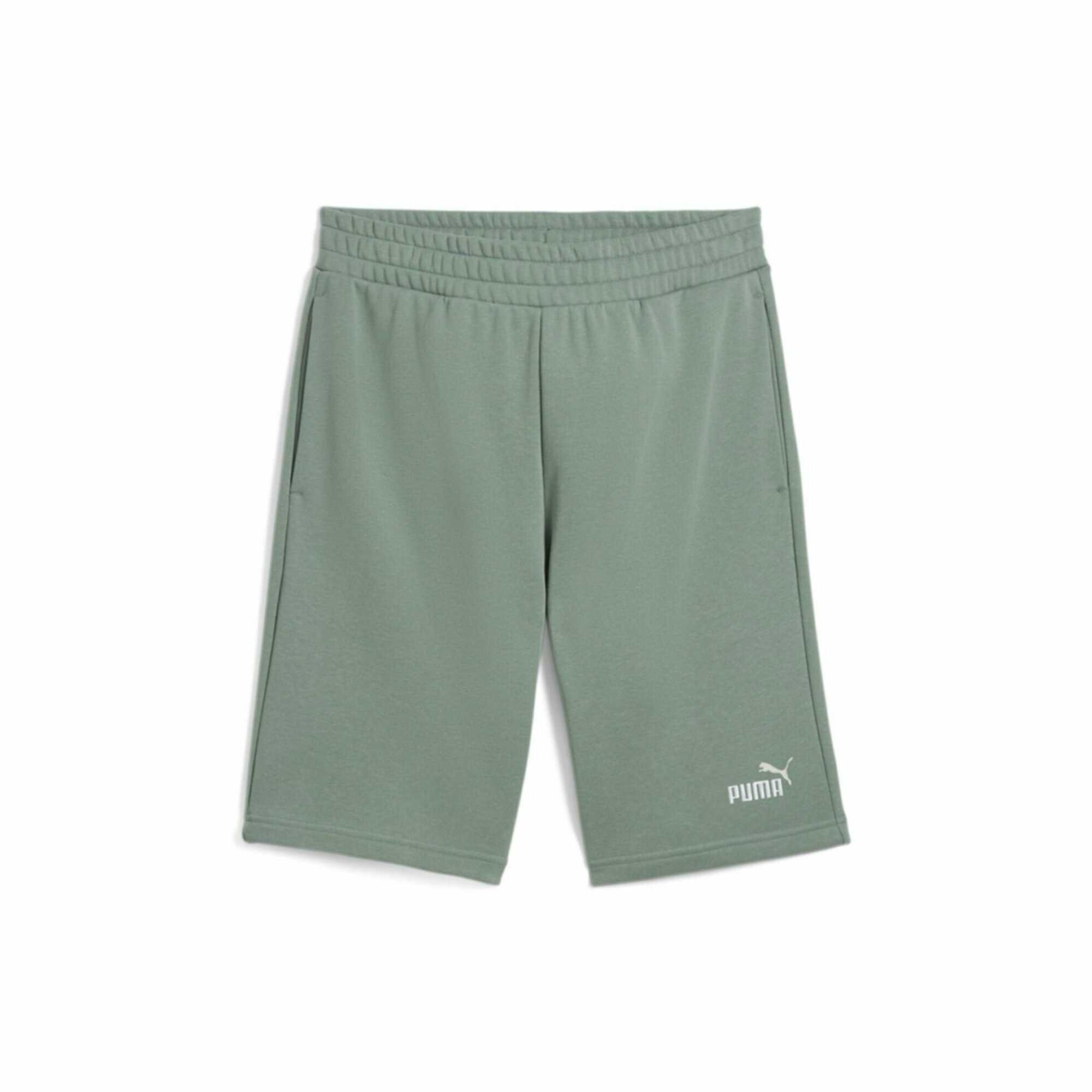 Шорты ESS 2 COLOR Logo Shorts