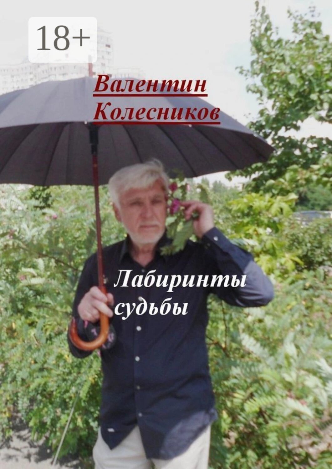 Лабиринты судьбы [Цифровая книга]