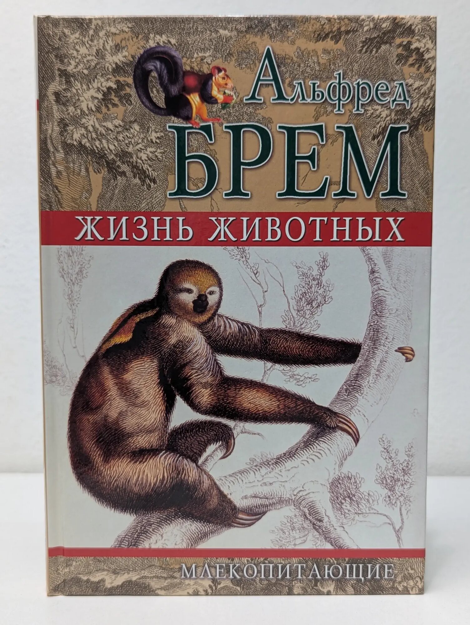 Жизнь животных. Млекопитающие. Том 1 Брем Альфред 2008