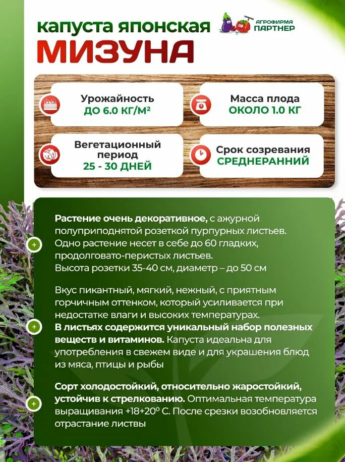 Капуста японской Мизуна — фото 1