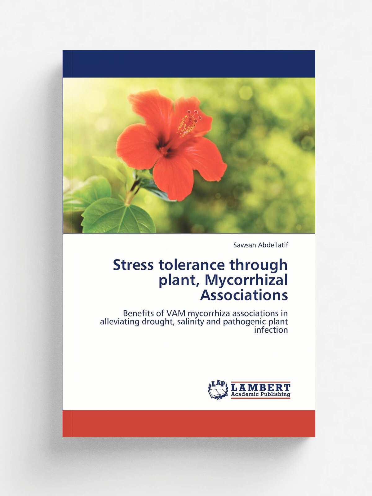 Stress Tolerance Through Plant, Mycorrhizal Associations