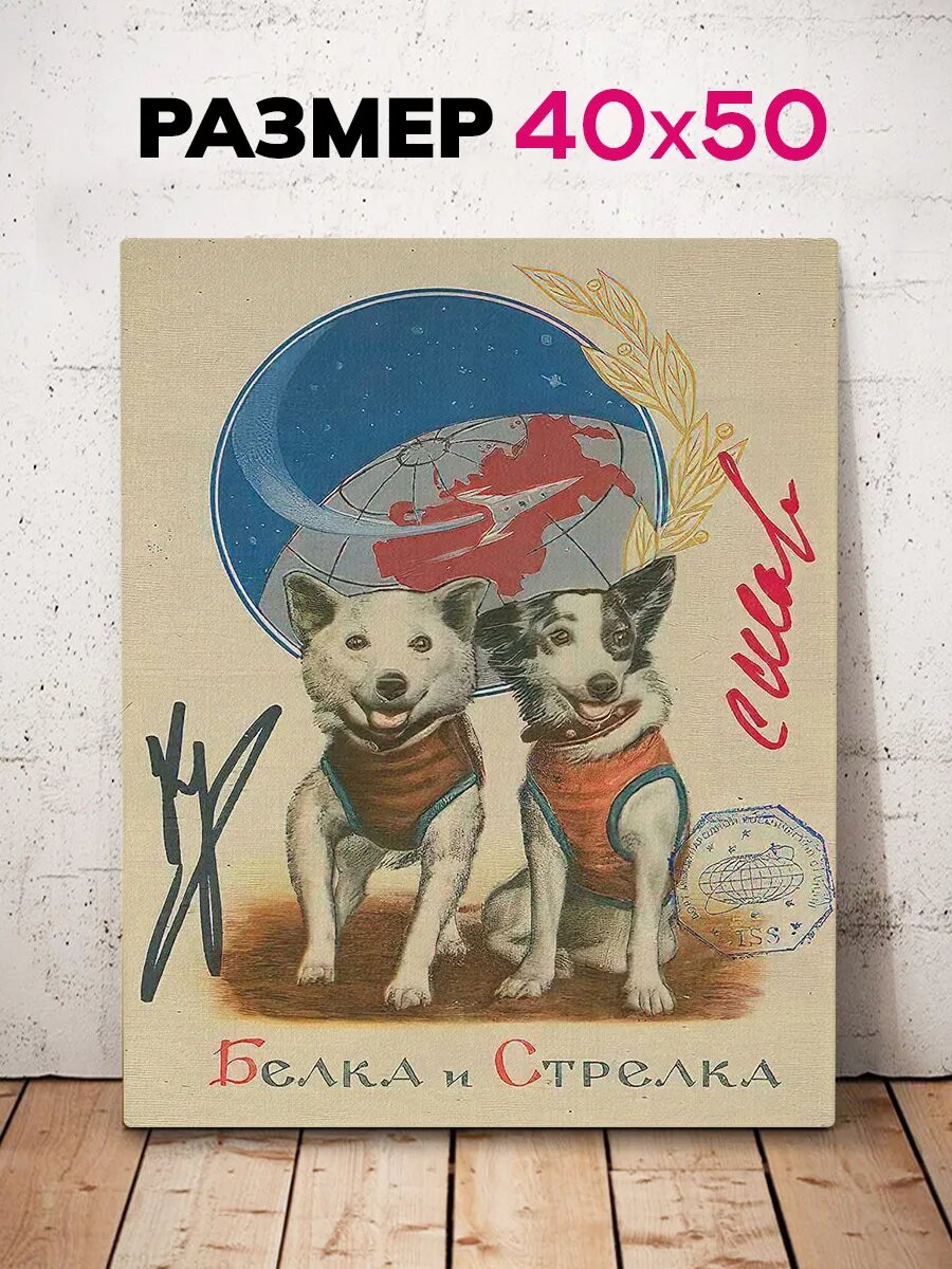Картина на стену для дома Белка и Стрелка 40х50 см
