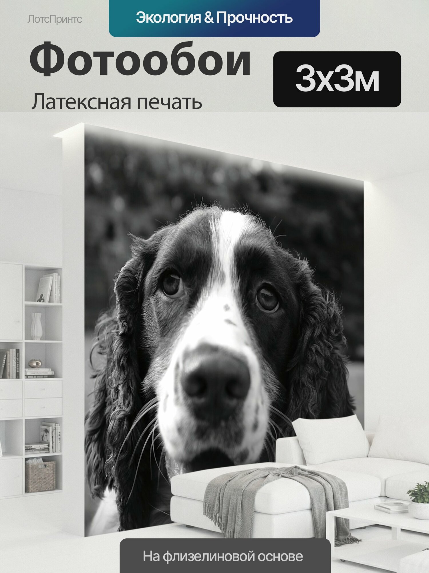 Фотообои моющиеся ударопрочные "Спаниель, английский, собака" 300x300 см. латексная печать
