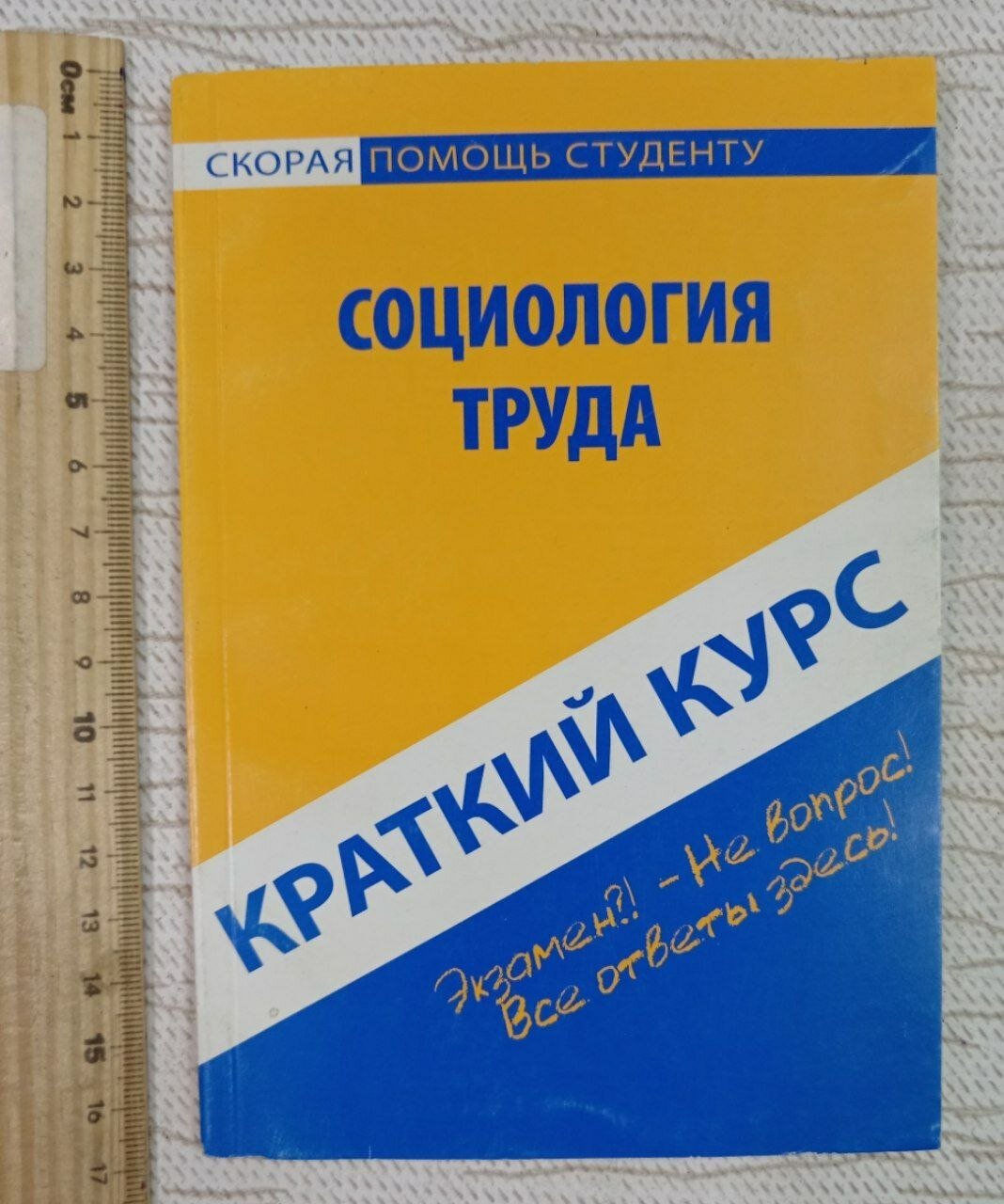 Социология труда. Краткий курс