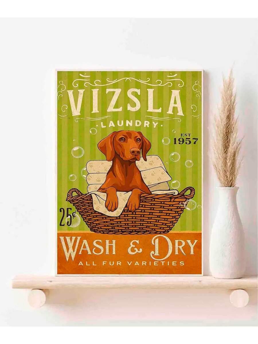 Собака Визсла, Wash & Dry All Fur Varieties, Плакат 30x42см