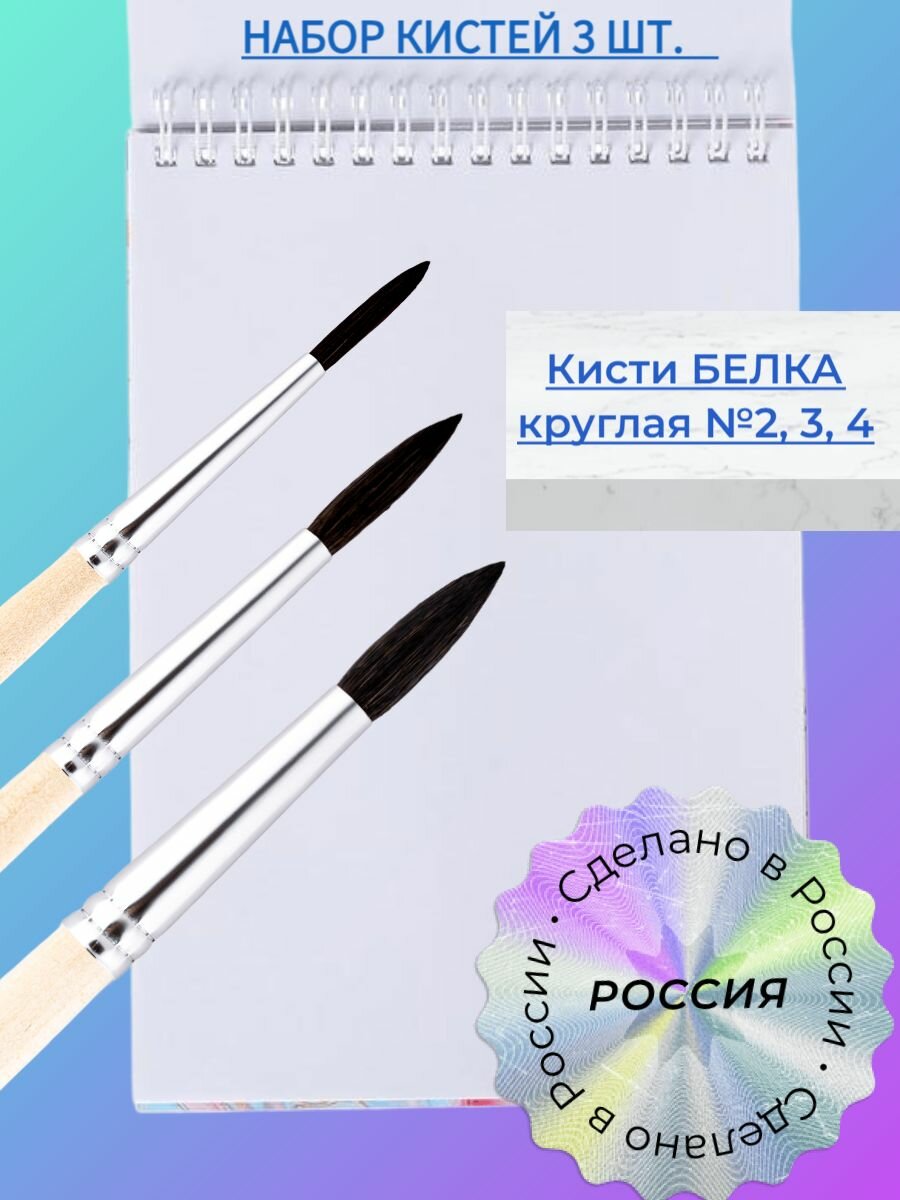 Набор кистей Белка 3 шт: белка 2,3,4 россия для рисования, художественные кисточки для акварели, гуаши, акрила в школу и детский сад для изо для живописи для художественных работ