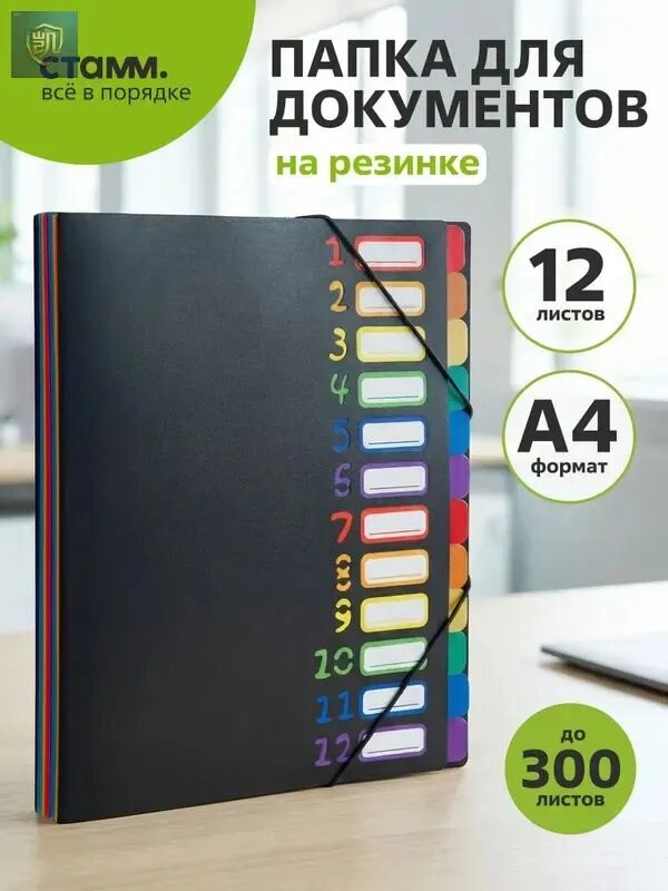 Папка-органайзер A4, 1 шт.