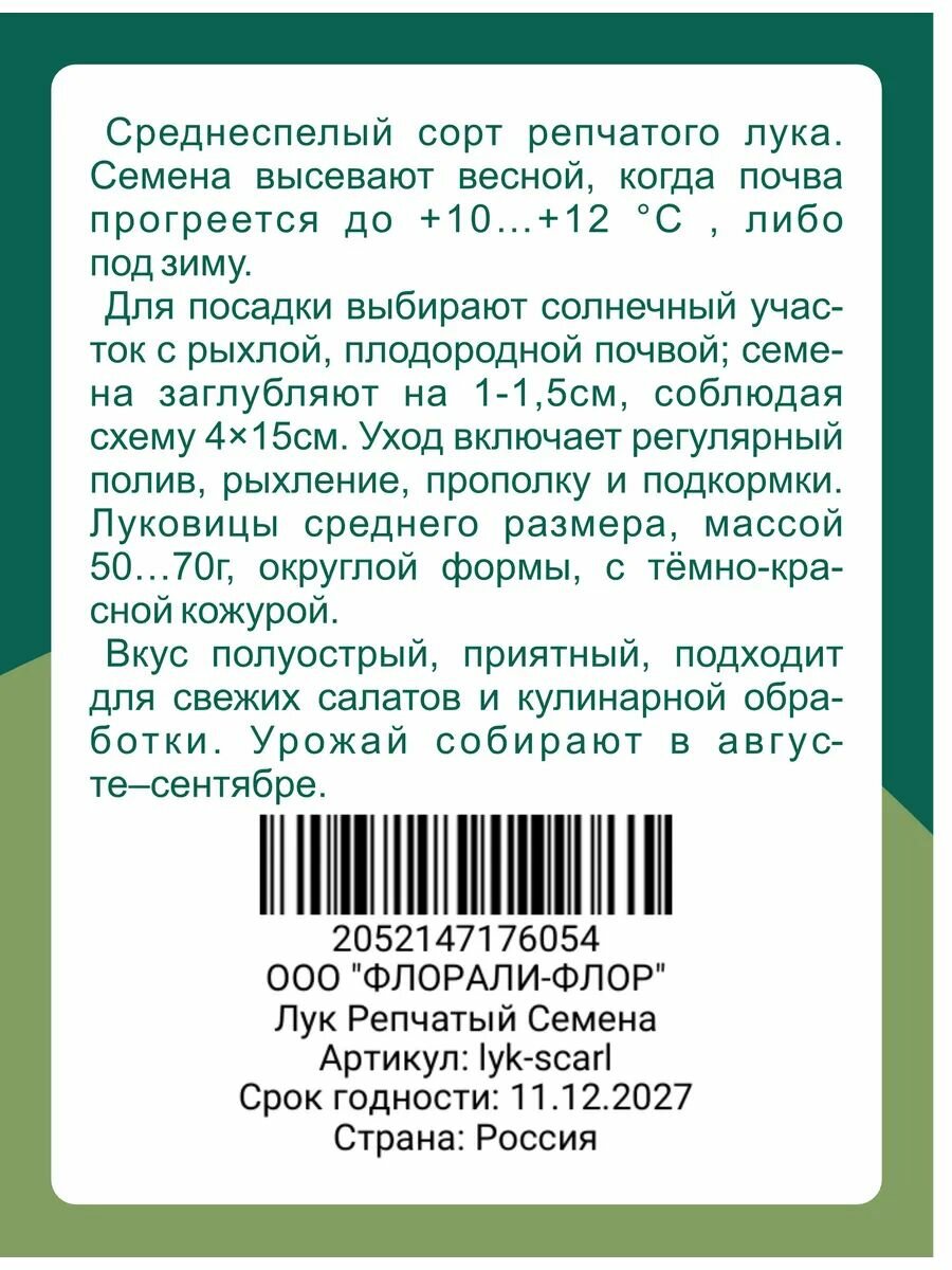 Лук Репчатый Семена — фото 1