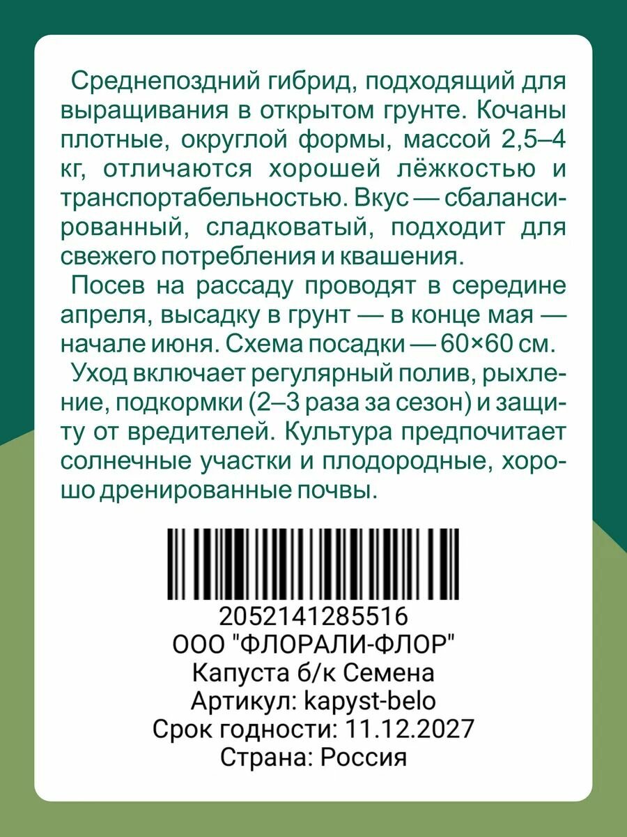 Капуста б/к Семена — фото 1