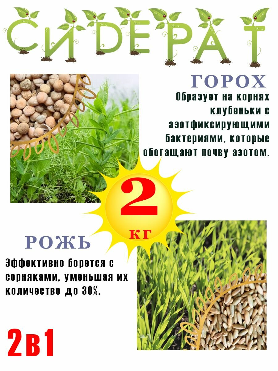 Сидерат Горох Рожь 2в1