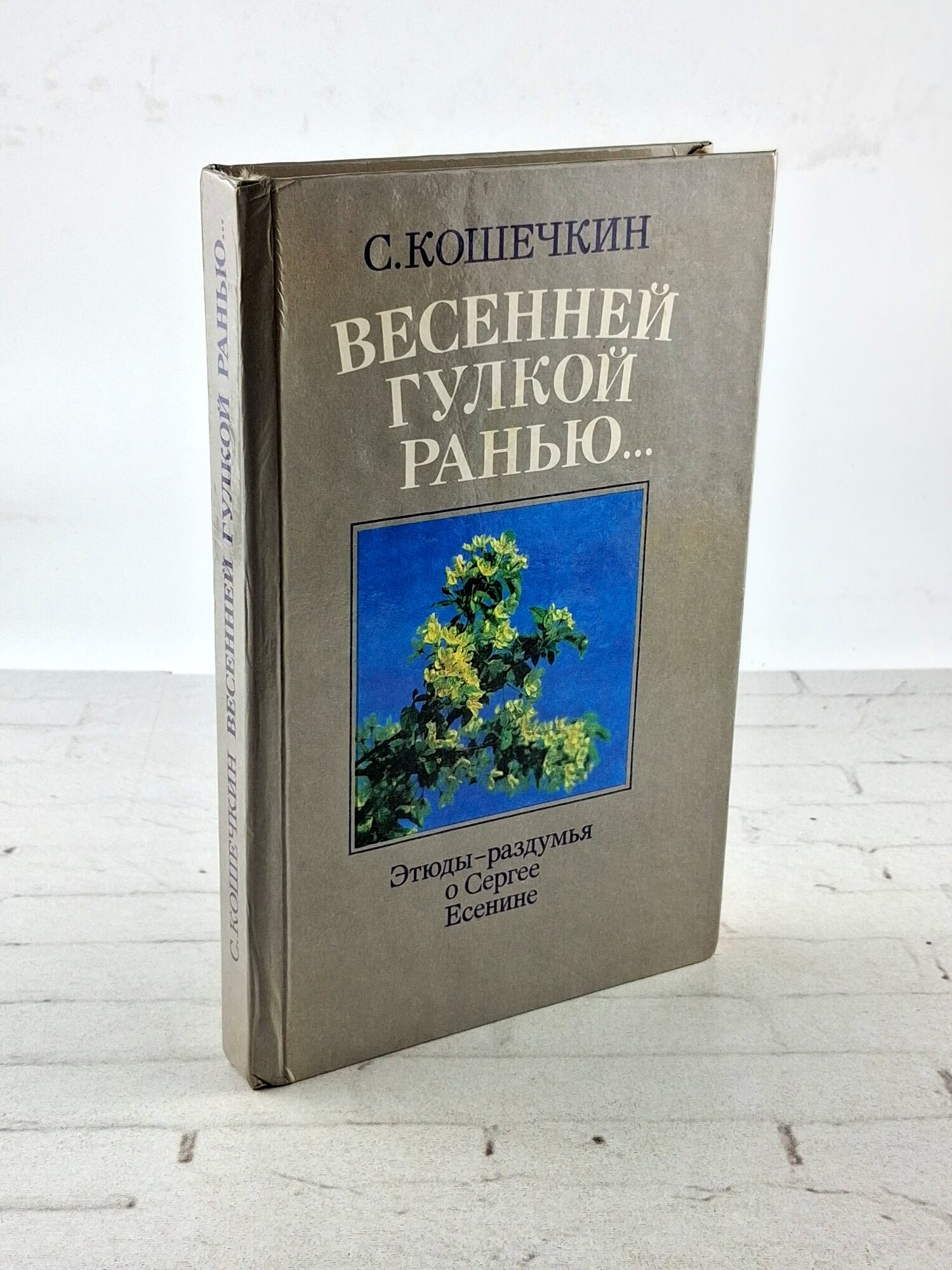 Весенней гулкой ранью. / С. Кошечкин 1989