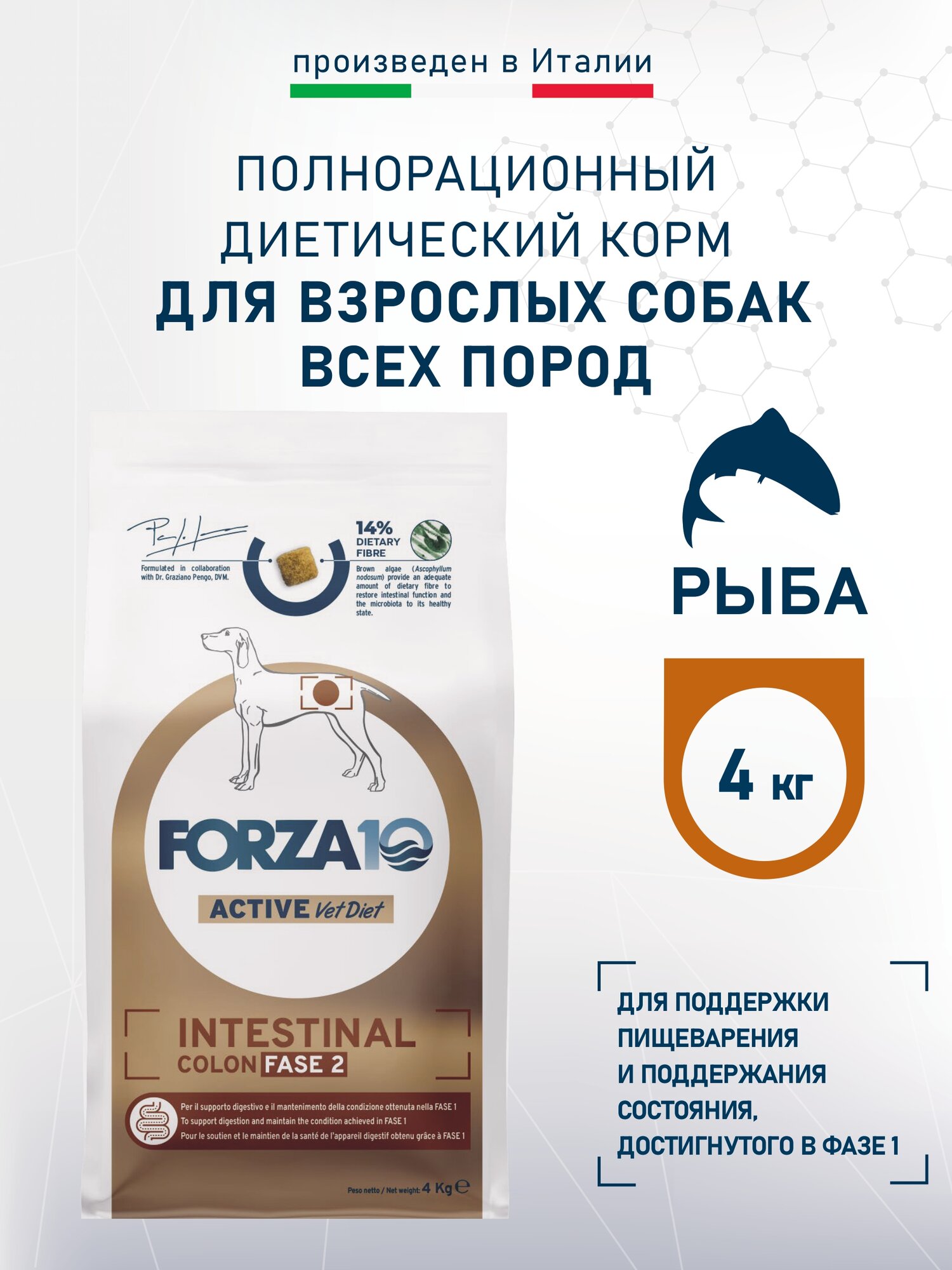 Корм сухой для собак FORZA10 Active Intestinal Colitis Fase II c рыбой диетический, при воспалениях ЖКТ, 4 кг