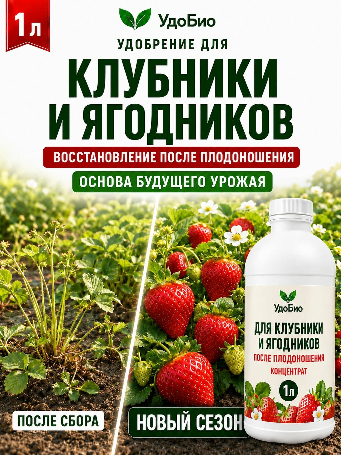 Удобрение для клубники и ягодников, концентрат восстановление после плодоношения, 1л