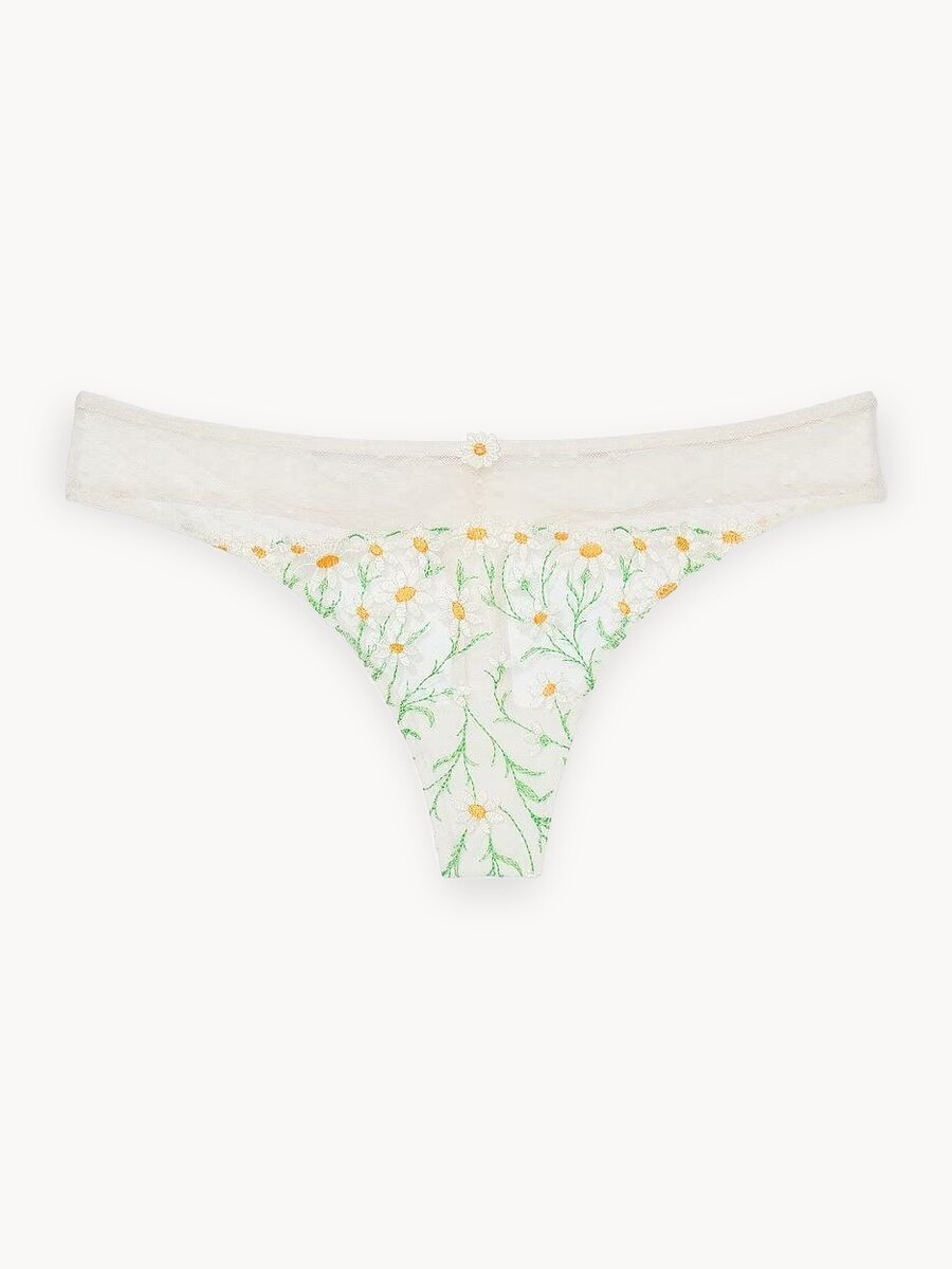 Трусы