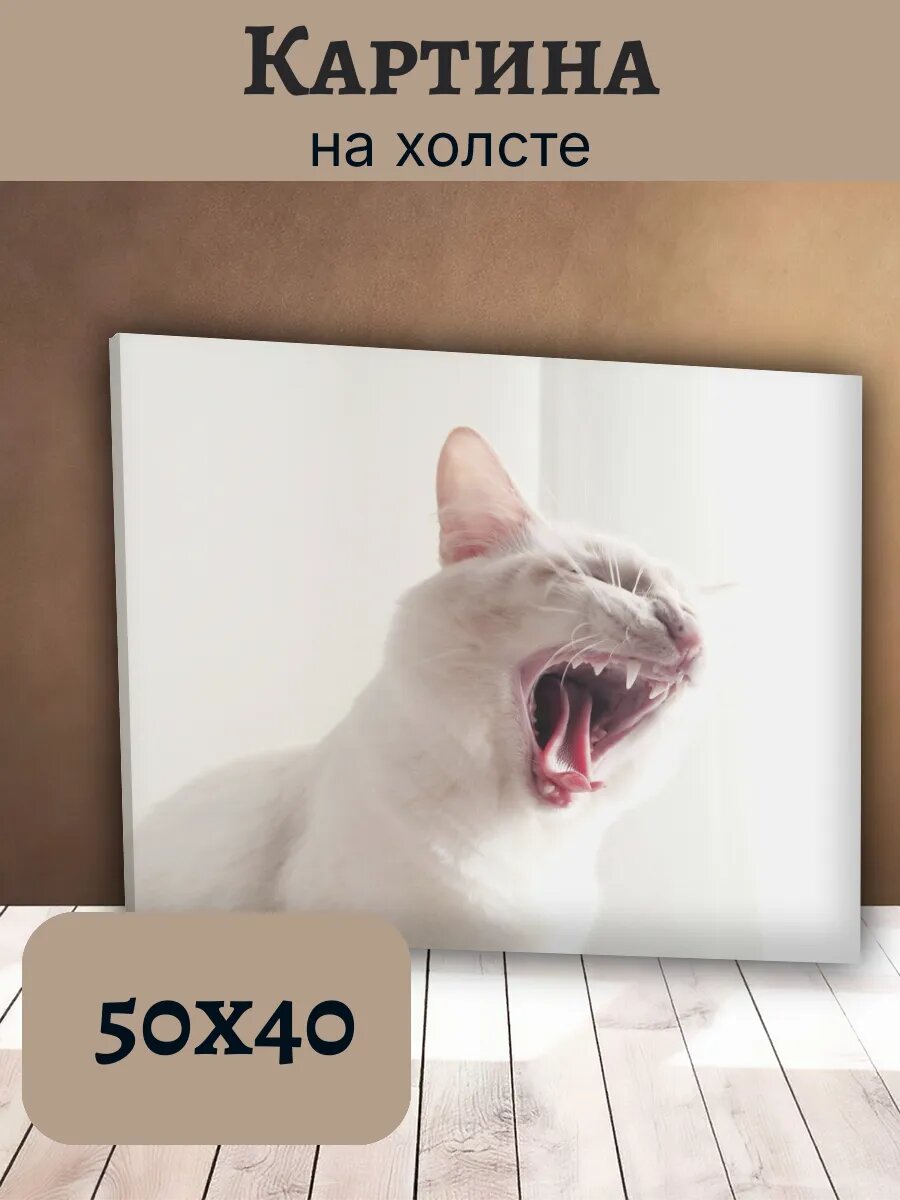 Картина Кот Кошка Cat 40x50 белая зевающая с розовым языком