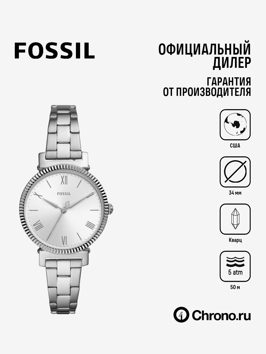  FOSSIL Daisy