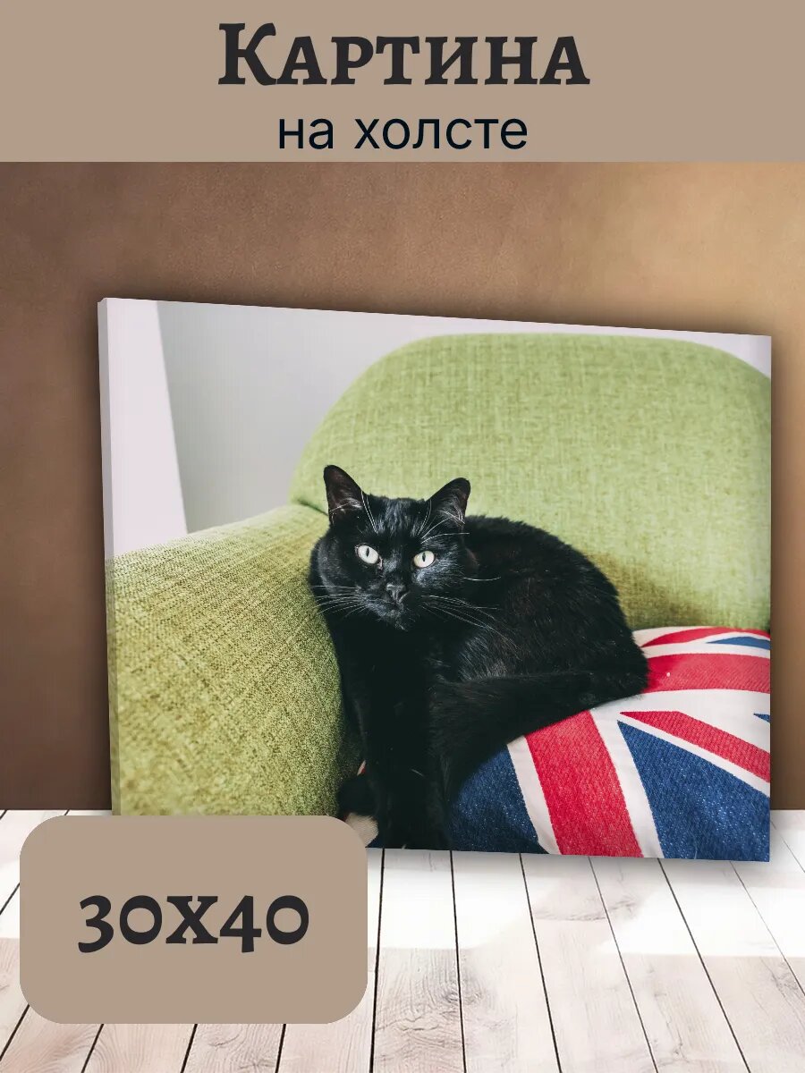 Картина Кот Кошка Cat 30x40 черный британский с флагом
