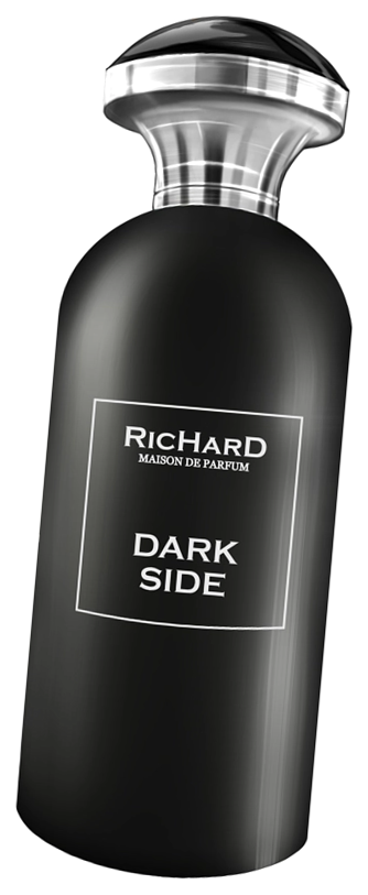 Richard Dark Side парфюм 100 мл для мужчин и женщин / Ричард Дарк Сайд, Темная Сторона