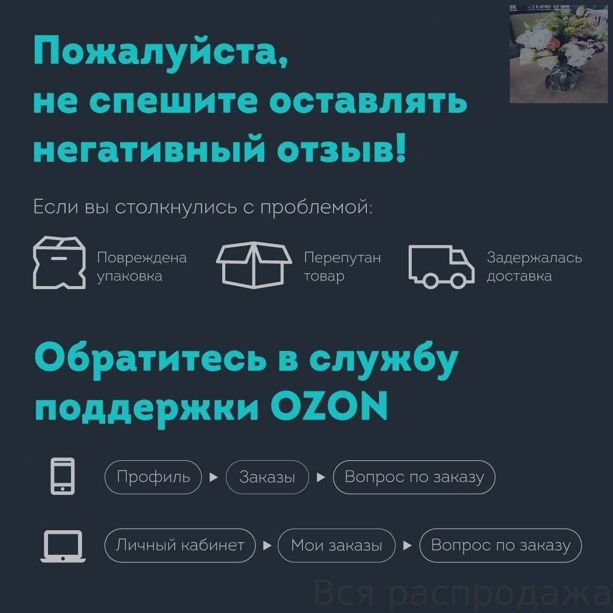 Капа, трейнер — фото 1