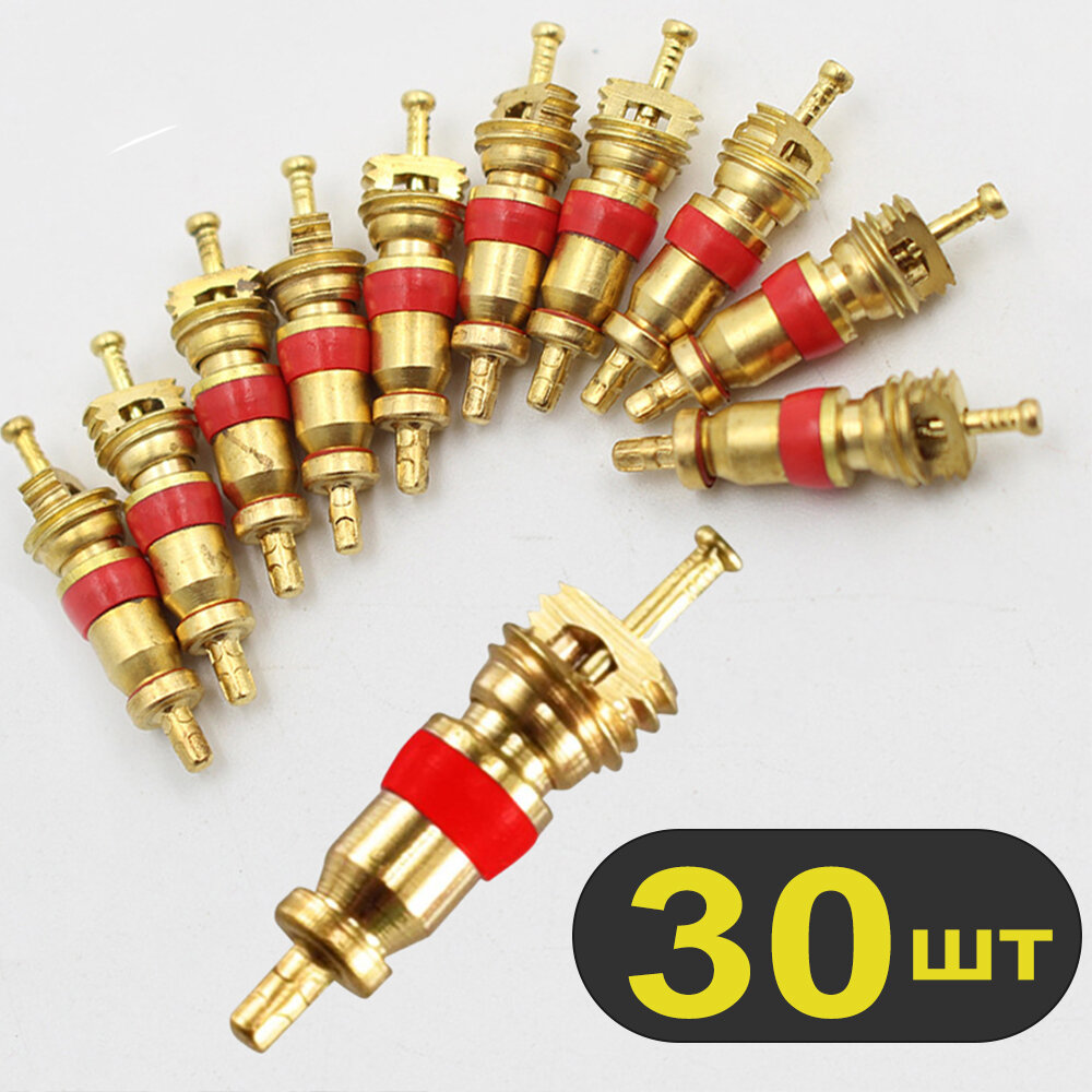 Золотник вентиля автомобильный набор + колпачков на ниппель