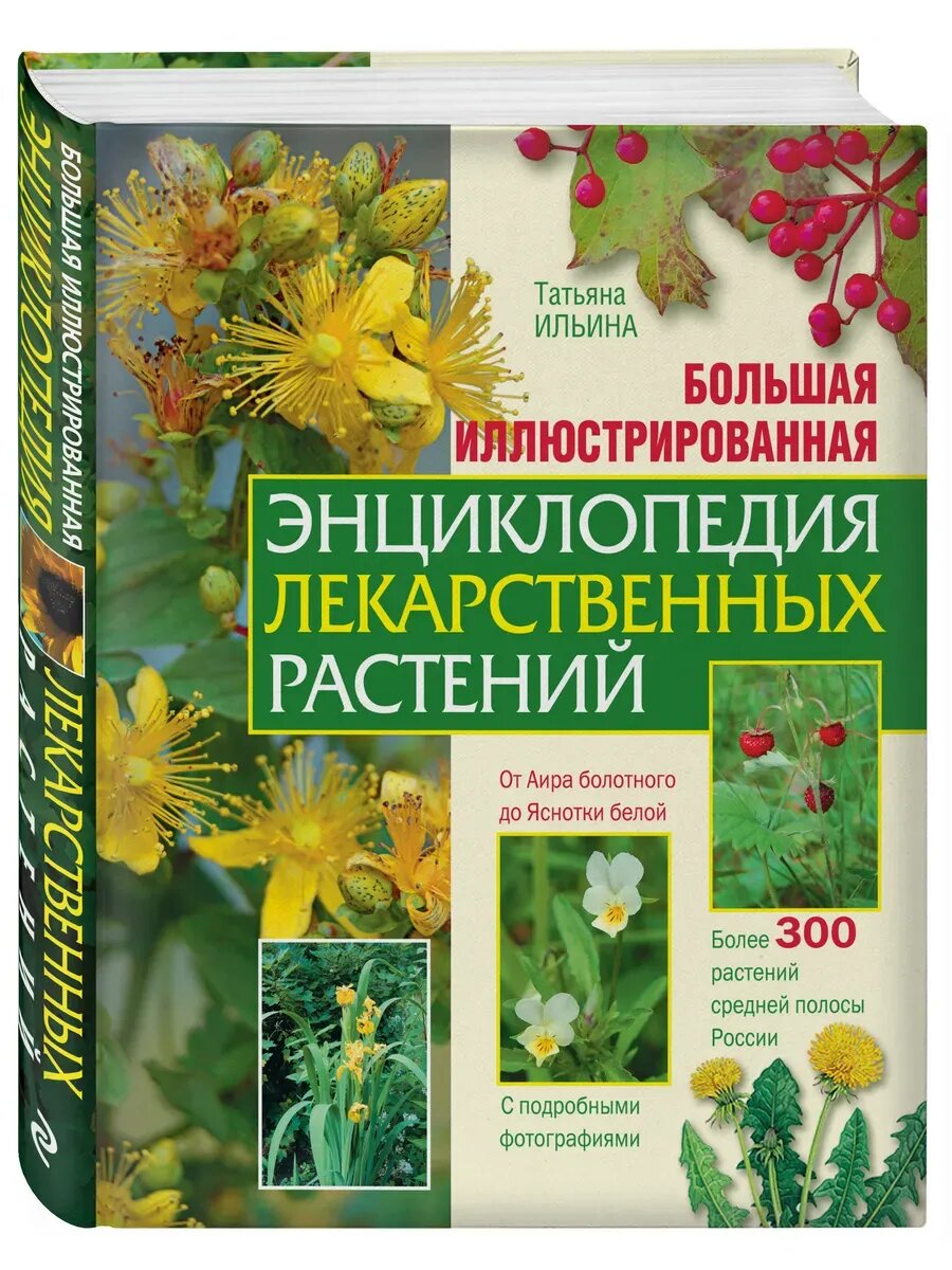 Татьяна Ильина. Большая иллюстрированная энциклопедия лекарственных растений