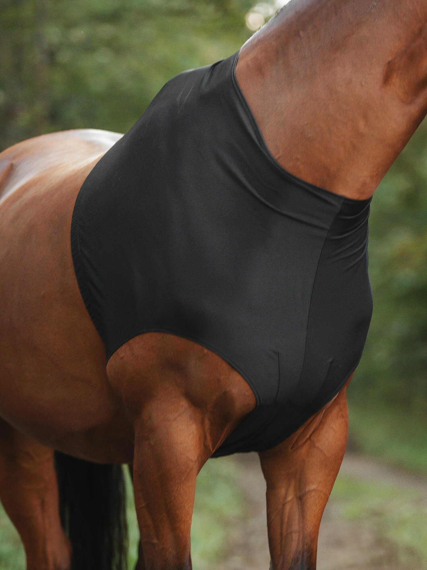 Наплечник эластичный для лошади Chest liner