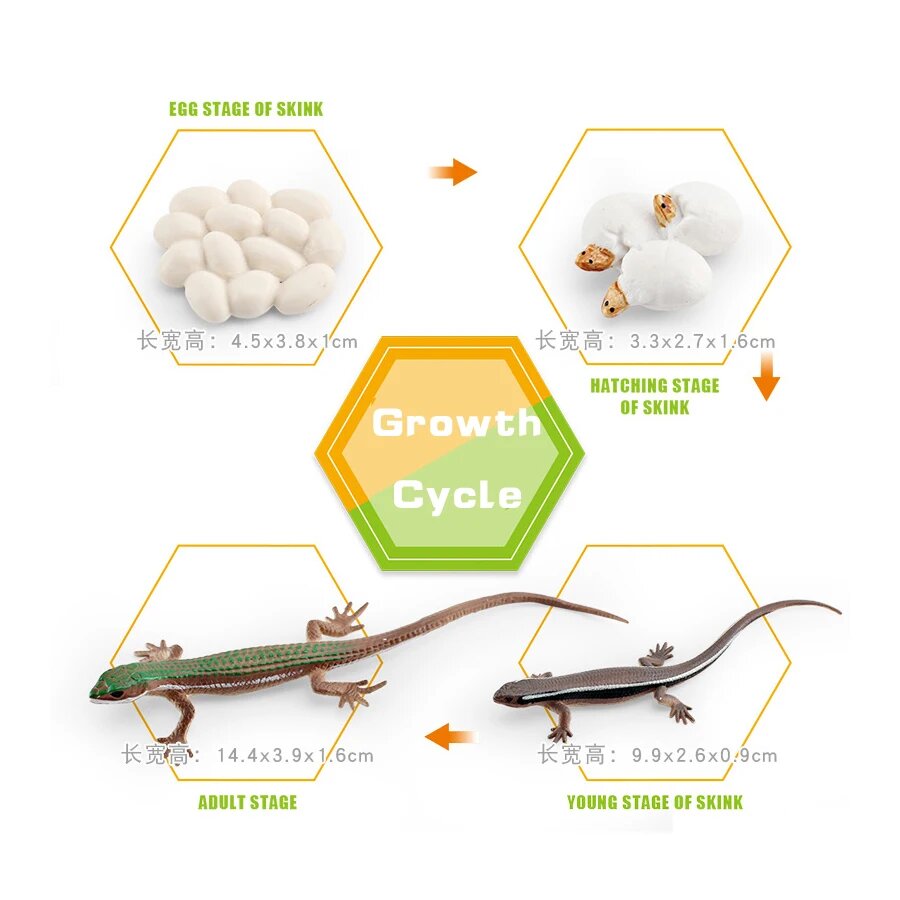Фигурки роста Skink LADOFIGURES, 4 шт, Белый, Skink set-1