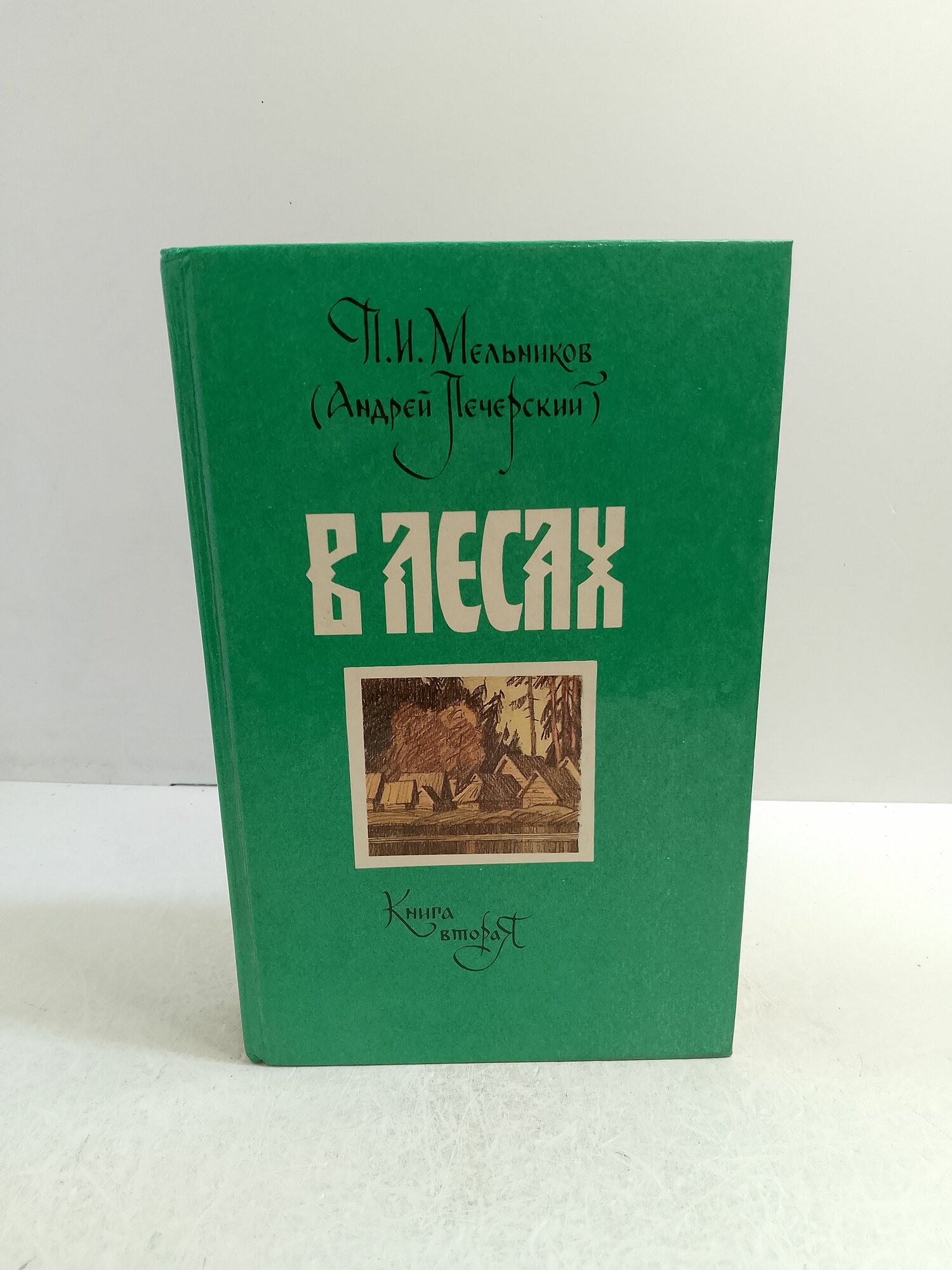 В лесах. Книга 2