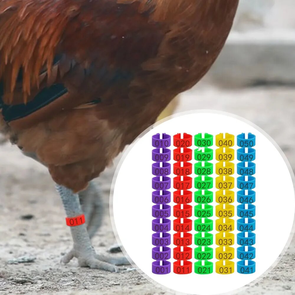 Меточные кольца для птицы регулируемое Для куры, утки и гуси, 50 штук