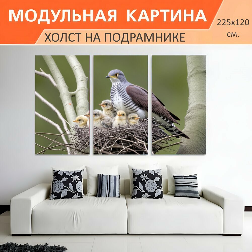 Модульная картина на холсте "С птенцами кукушка птицы" триптих на подрамнике 225х120 см. для интерьера