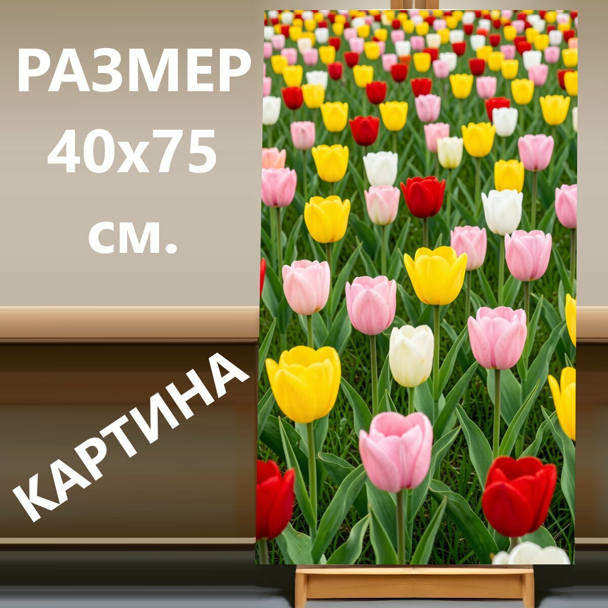 Картина на холсте "Разноцветные тюльпаны на лугу. Яркое весеннее цветочное поле с множеством нежных бутонов в красных, жёлтых, белых и розовых." на подрамнике 75х40 см. для интерьера
