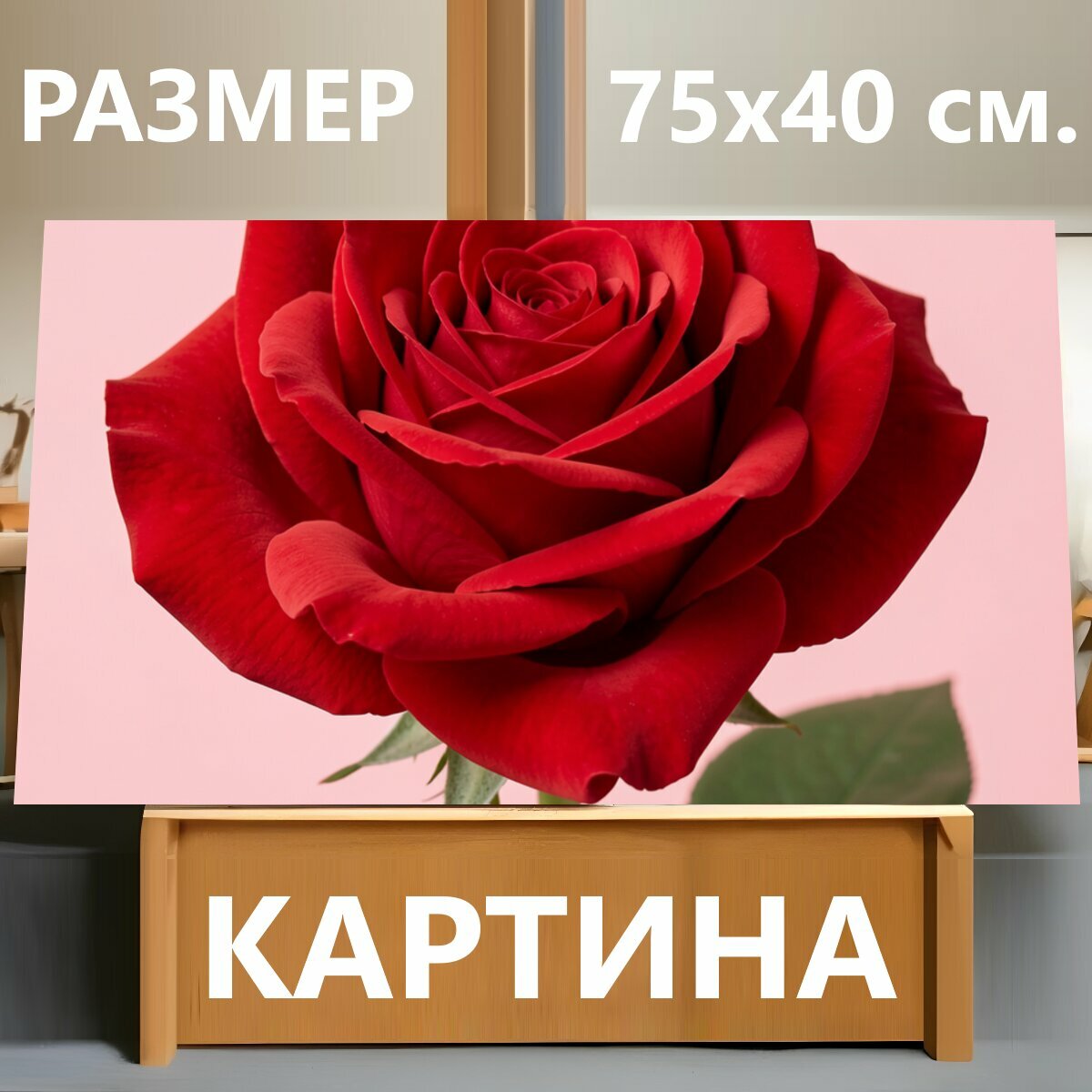 Картина на холсте "Красная роза на пастельном фоне. Крупный бутон алой розы с бархатистыми лепестками и зелёными листьями на нежном розовом." на подрамнике 75х40 см. для интерьера