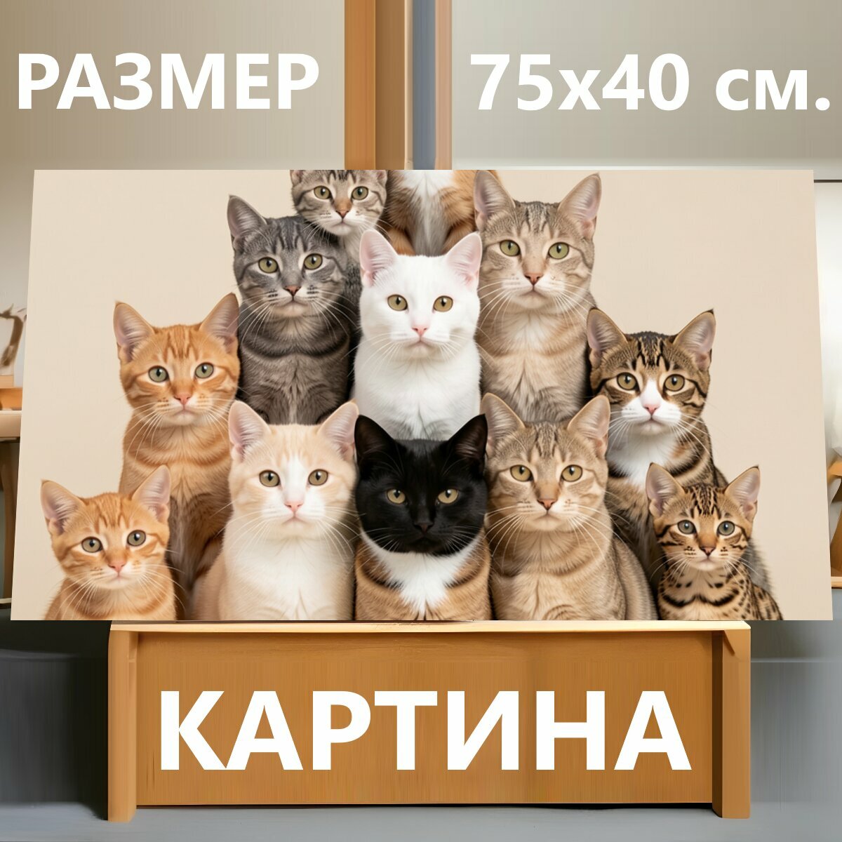 Картина на холсте "Пирамида из котят разных пород. Милые домашние и дикие кошки сидят пирамидой на светлом фоне: рыжие, серые, белые, черные и." на подрамнике 75х40 см. для интерьера