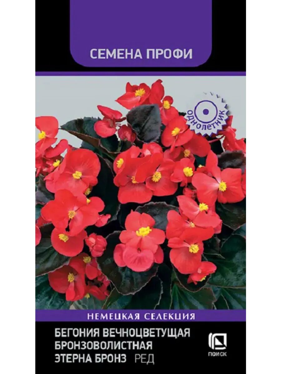 Семена Бегония вечноцветущая Этерна Бронз Ред