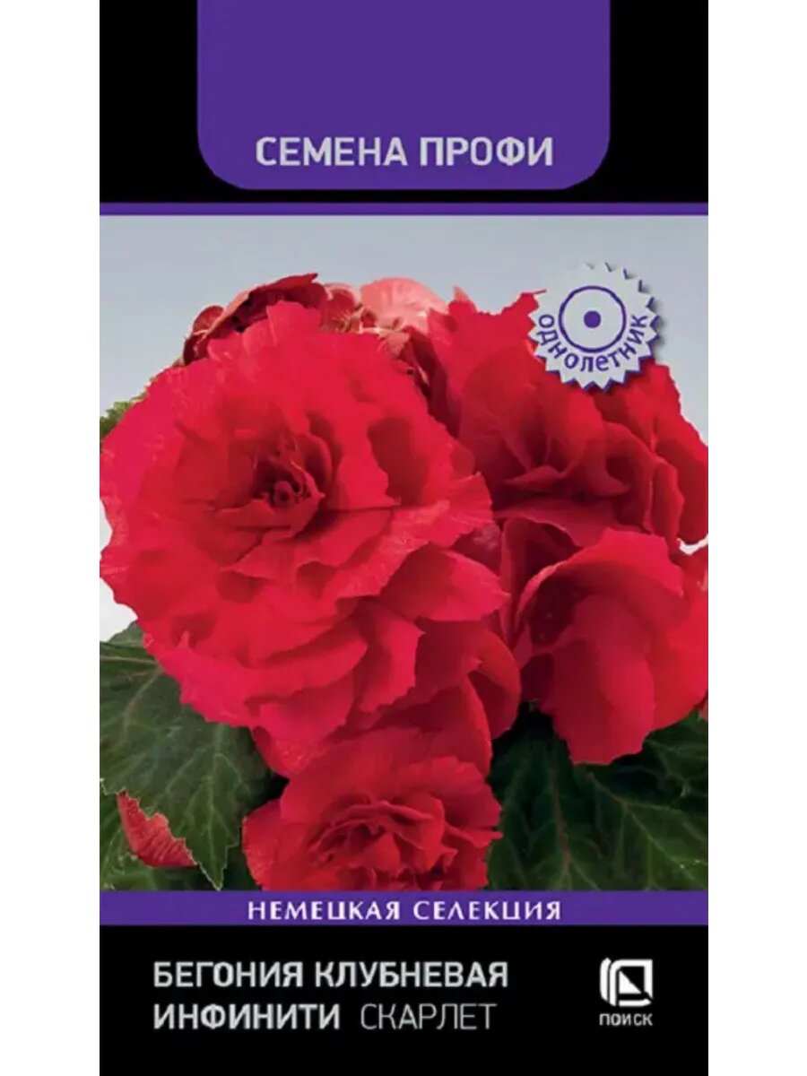 Семена Бегония клубневая Инфинити Скарлет