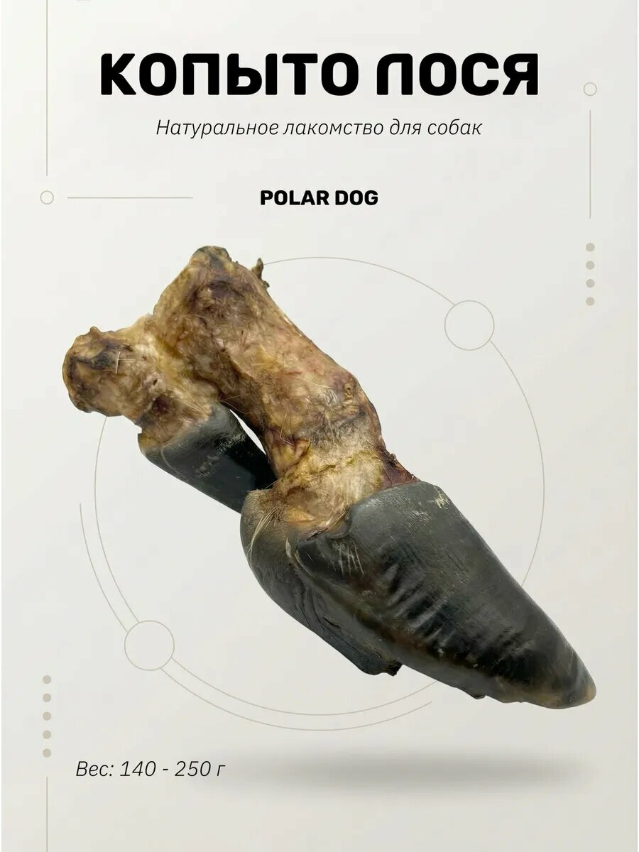 Долгоиграющие лакомства Polar Dog "Копыто дикого лося", для чистки зубов, 1 шт