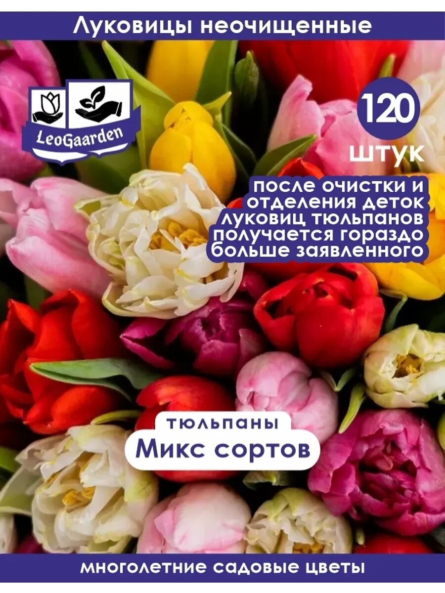 Тюльпан Луковицы неочищенные, Микс сортов, 120шт