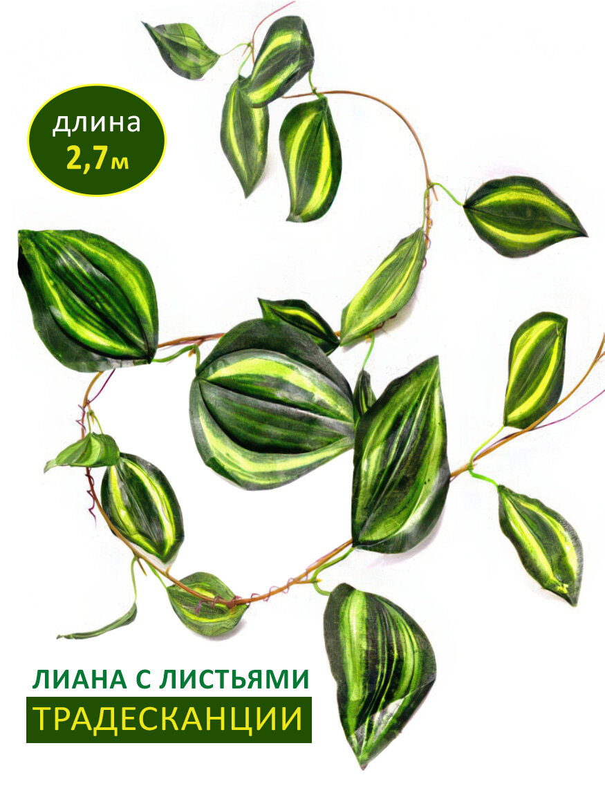 Искусственная лиана с листьями традесканции для декора, длина 2,7 м