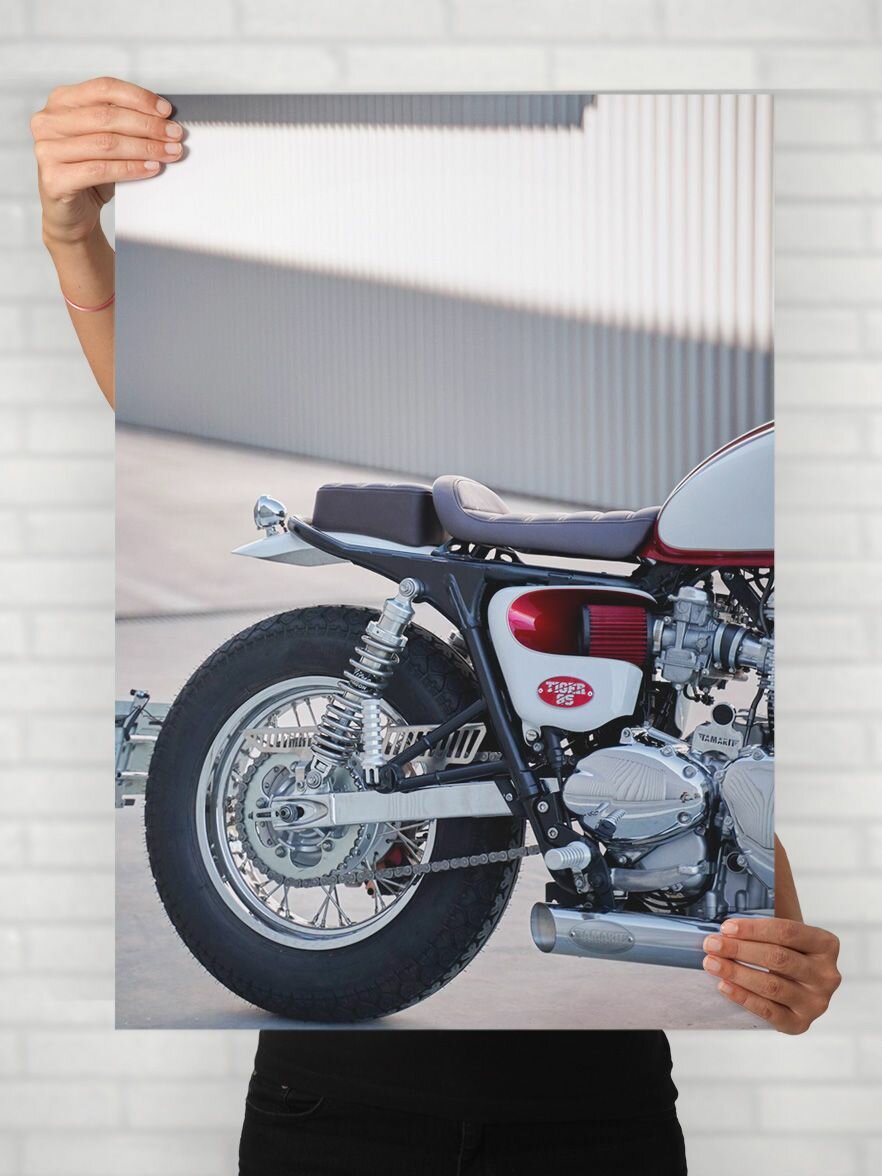 Плакат на стену для интерьера Мотоцикл (Triumph Bonneville T100 1) - Постер по мото и байкам формата A2 (42x61 см)