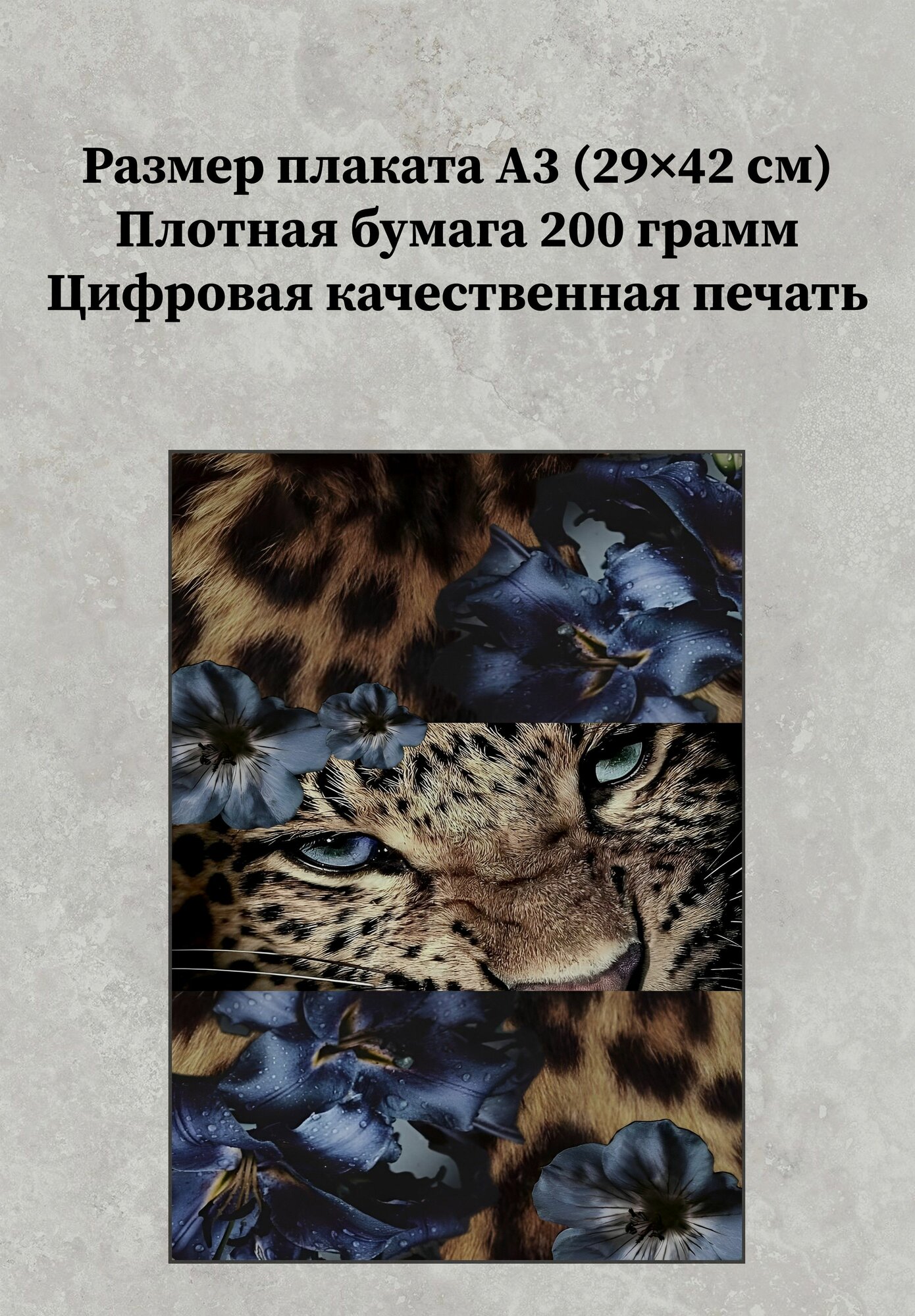 Постер / Плакат Леопард Эстетика (Leopard) — фото 1