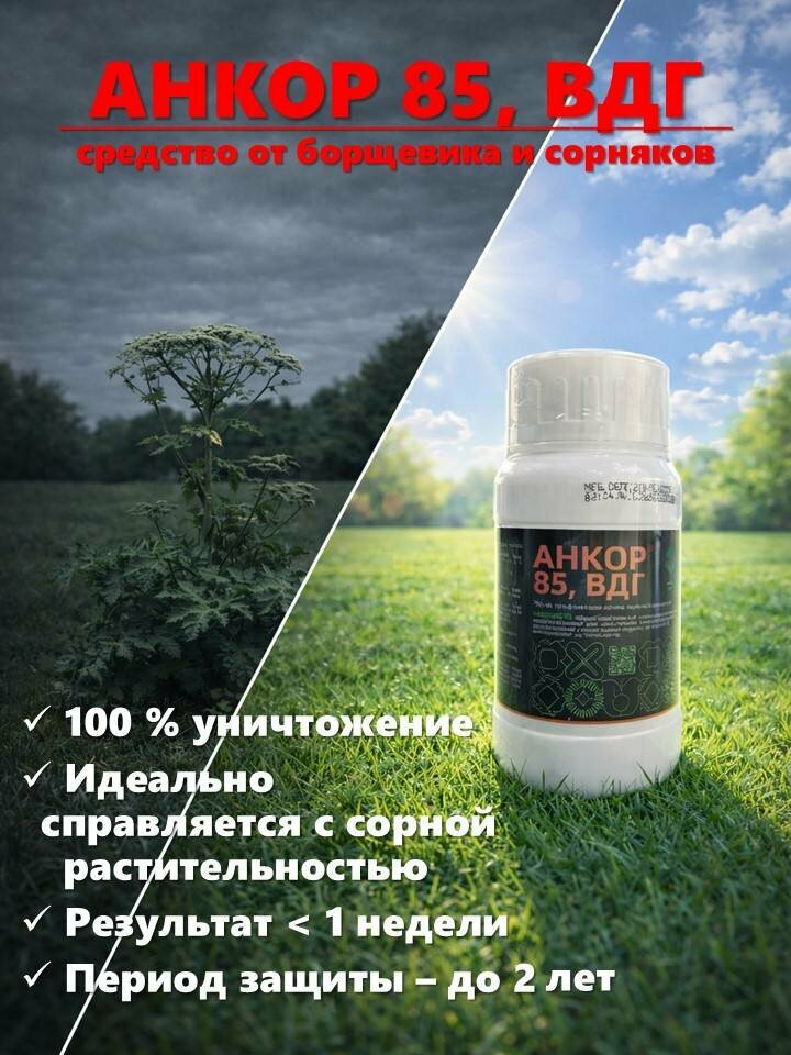 Анкор-85 гербицид для уничтожения нежелательной растительности и борщевика Сосновского, 120гр