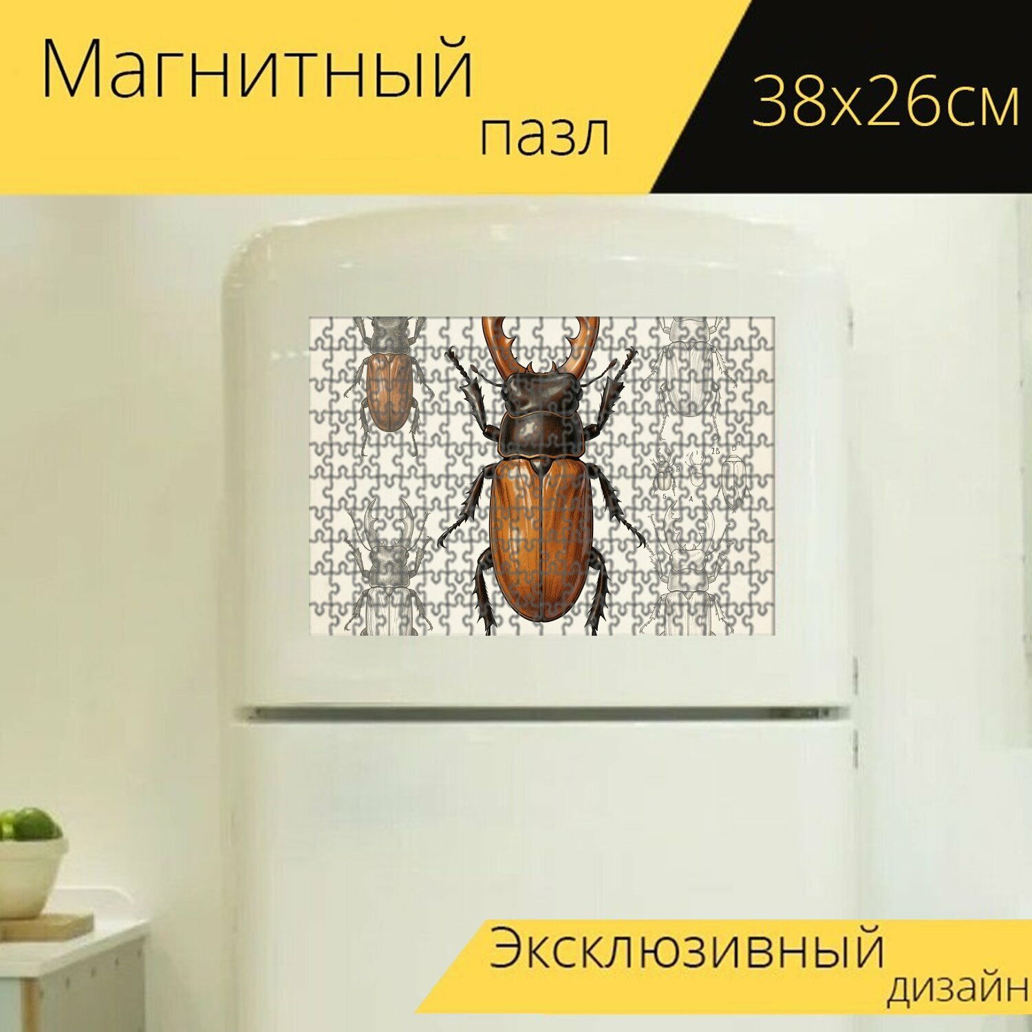 Магнитный пазл "Жук-олень в научной иллюстрации. Детализированное изображение крупного рогатого жука с длинными изогнутыми рогами, в стиле энтомологического." для интерьера, 38х26 см.