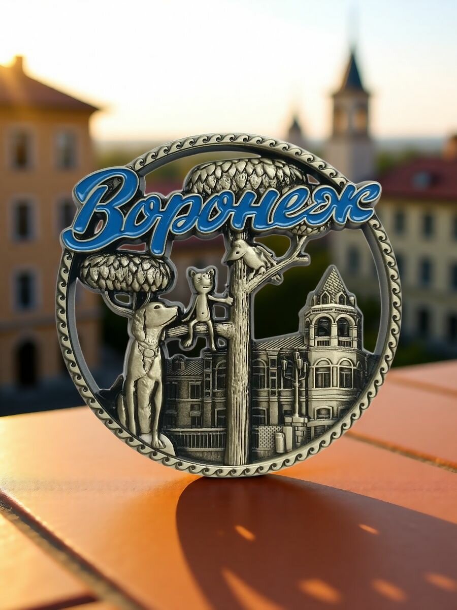 Магнит на холодильник металлический "Воронеж. Кот" круглый
