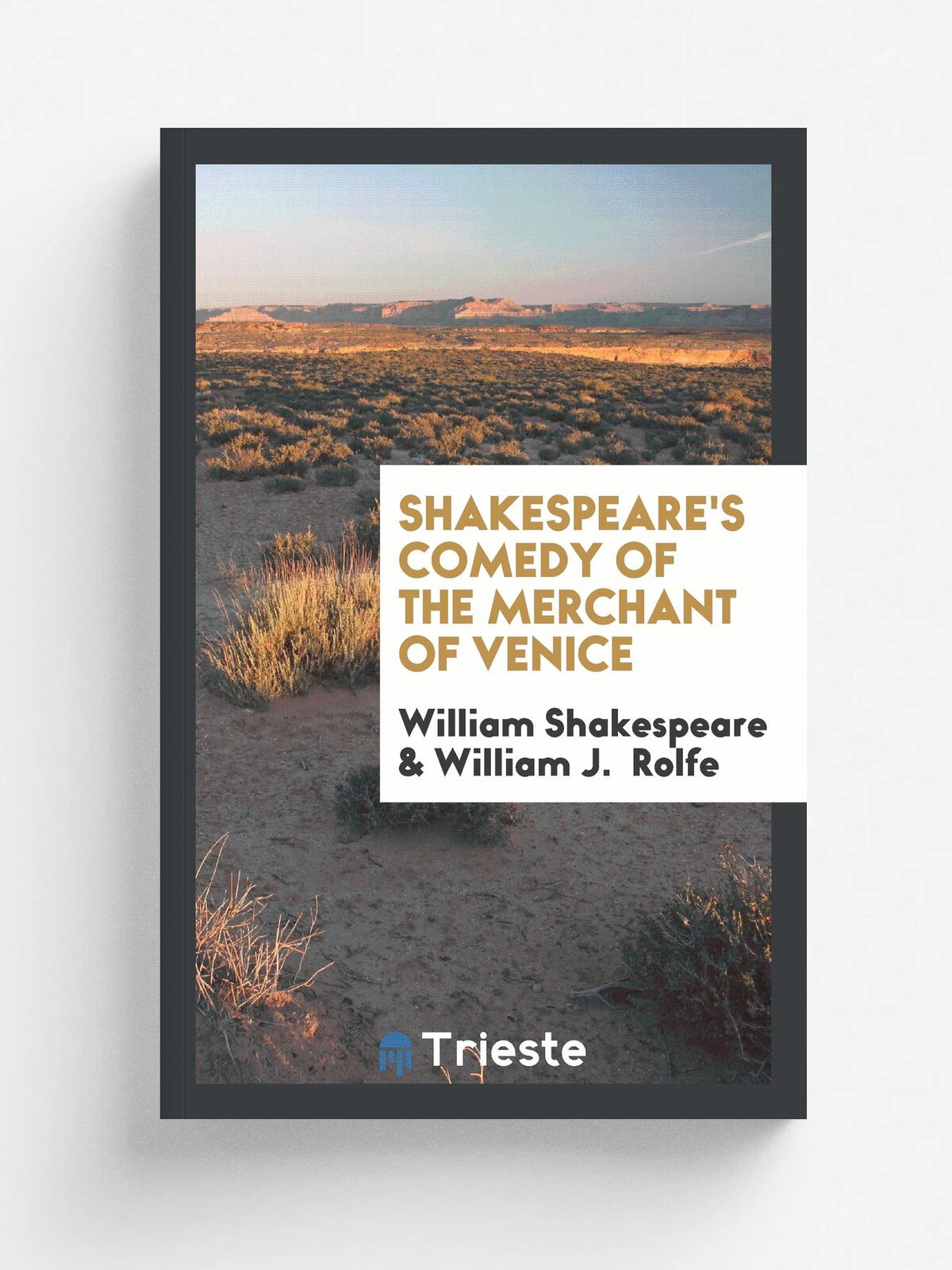 Shakespeare's Comedy of the Merchant of Venice